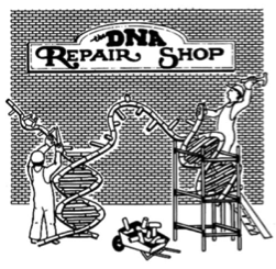 Reconnective Healing - Con Sensus Massage Rotterdam